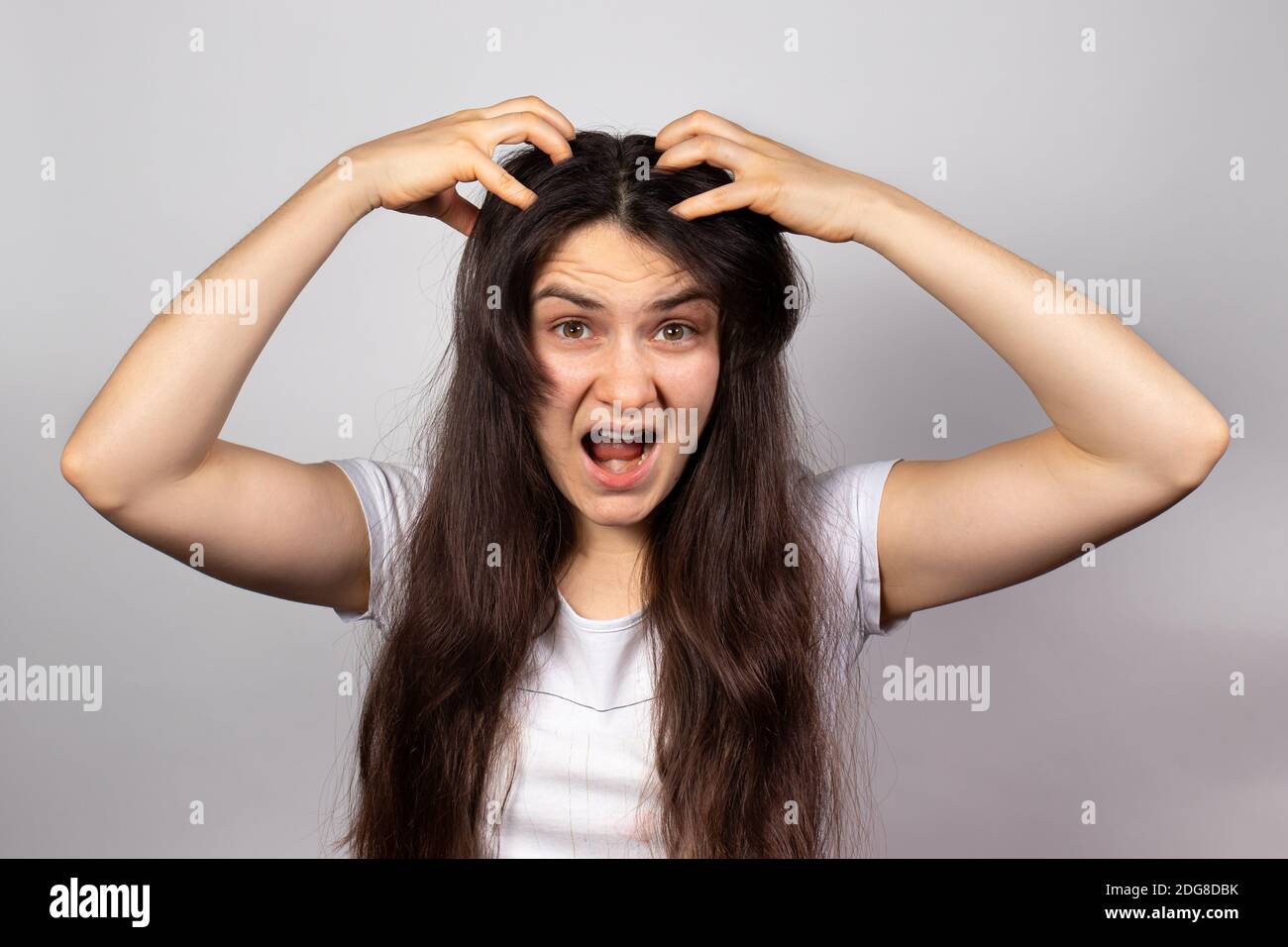 Traitement des poux dans les cheveux Banque de photographies et d ...