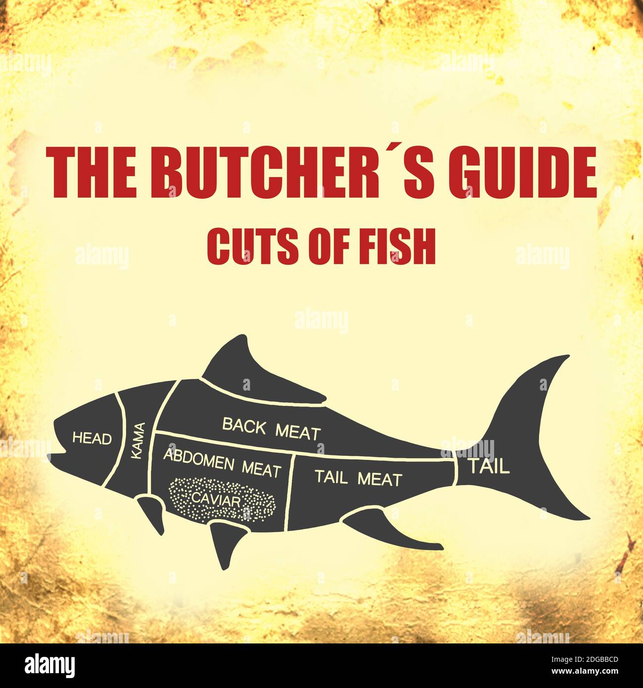 Viande de porc coupée . Diagramme de boucher, schéma Photo Stock - Alamy