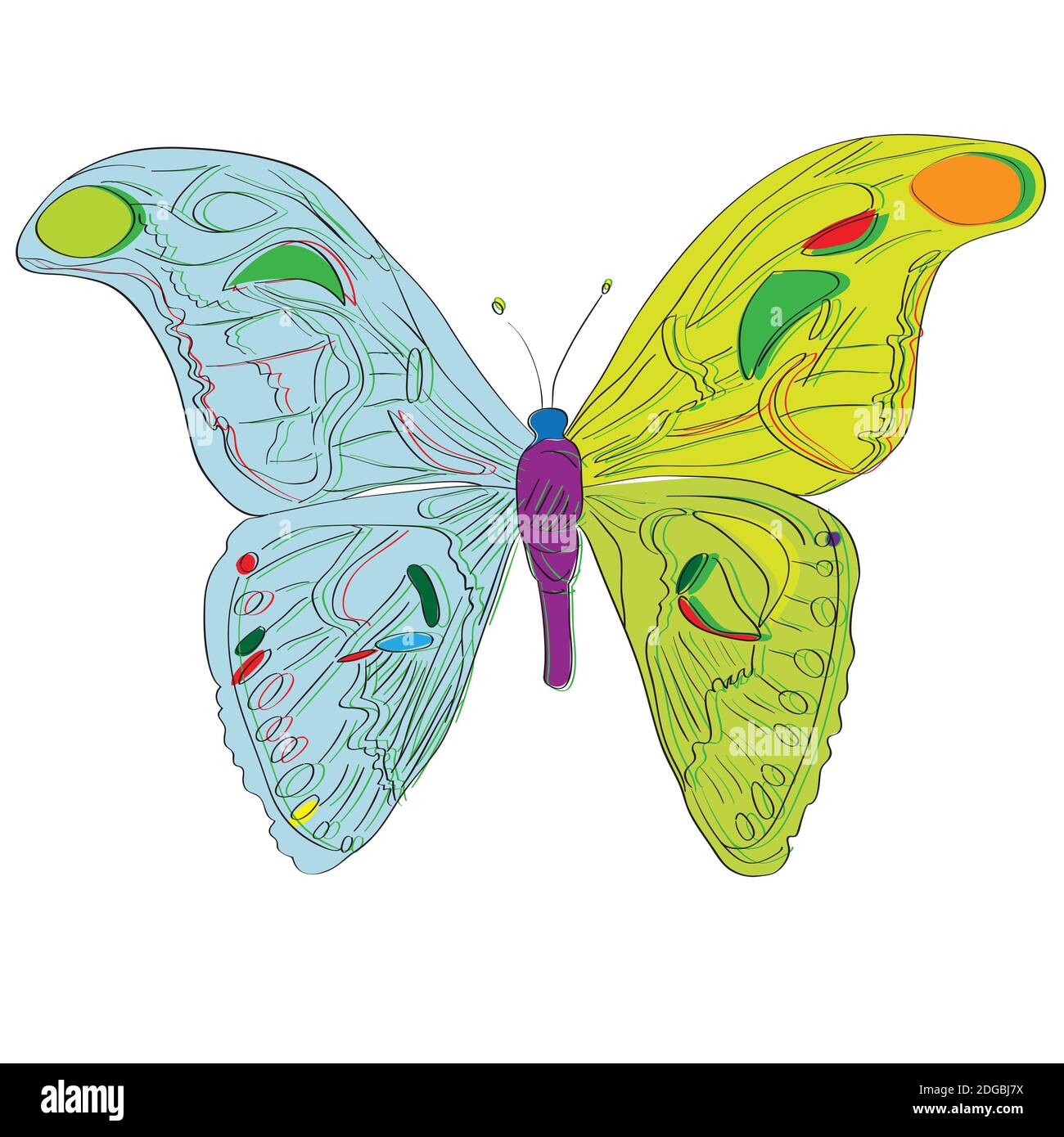 Atlas papillon attacus atlas Banque de photographies et d’images à ...