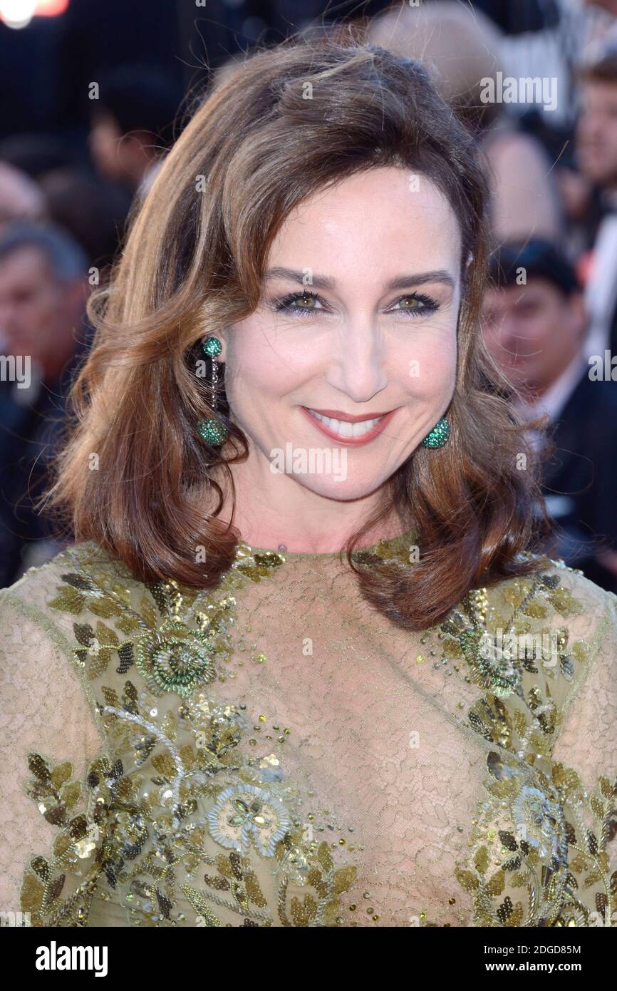 Elsa zylberstein 2017 Banque de photographies et d’images à haute ...