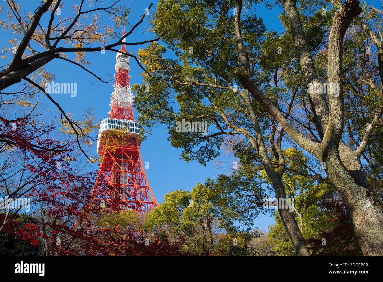 Parc de shiba Banque de photographies et d’images à haute résolution - Alamy