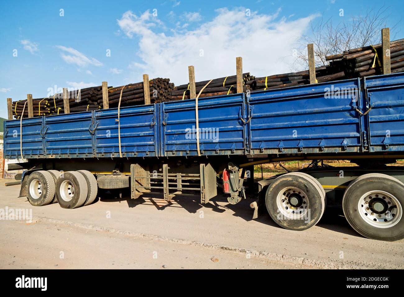 Grumier afrique Banque de photographies et d’images à haute résolution ...