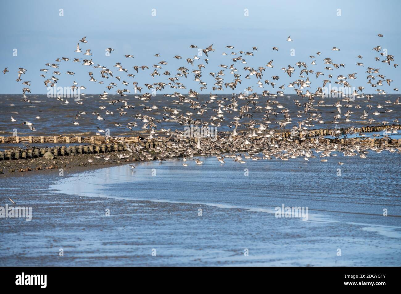 Nationalpark wattenmeer Banque de photographies et d’images à haute ...