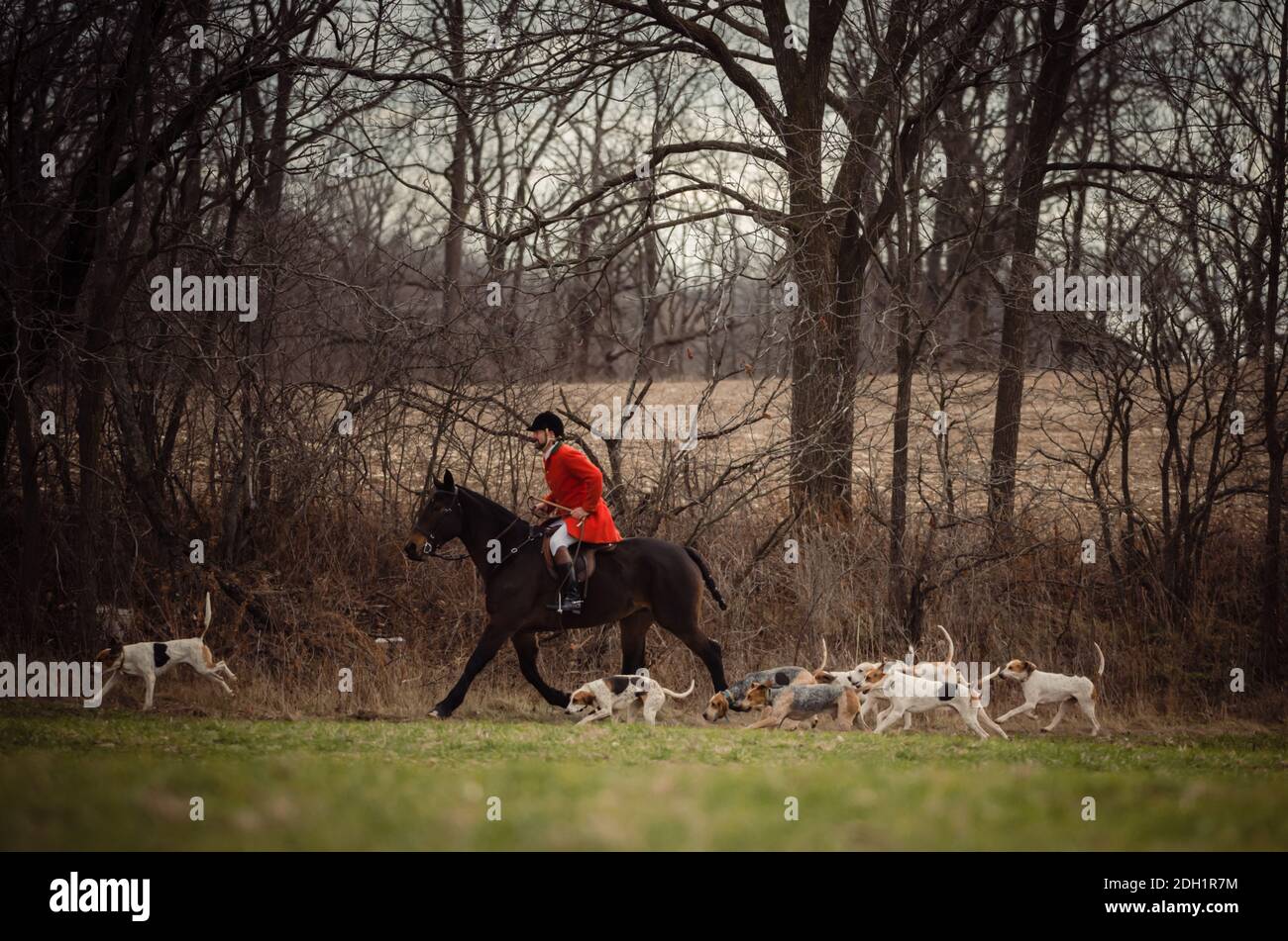 Race hamilton Banque de photographies et d’images à haute résolution ...