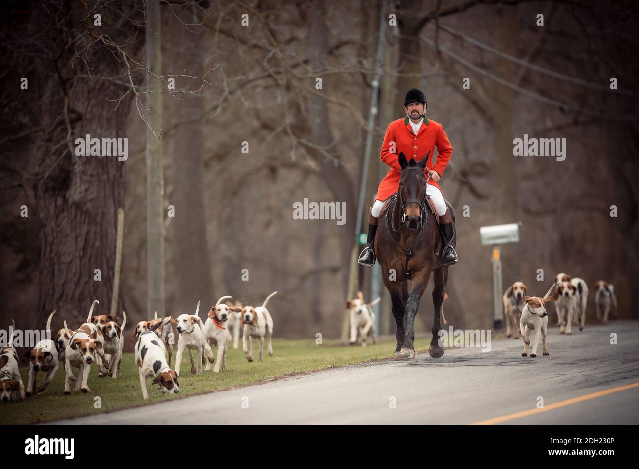 Photos de paysage couleur du Hamilton Hunt Club en Ontario Canada ...