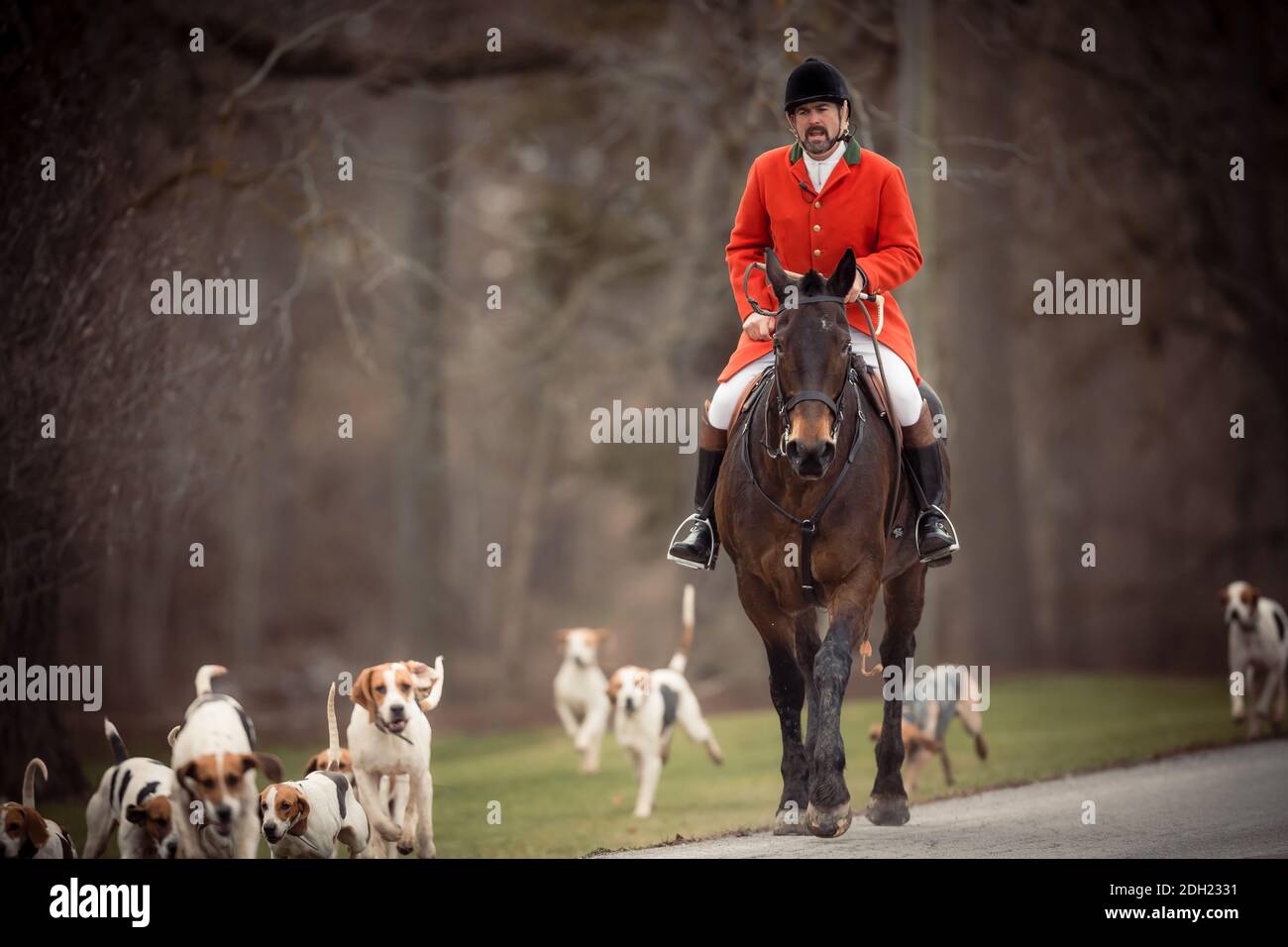 Photos de paysage couleur du Hamilton Hunt Club en Ontario Canada ...