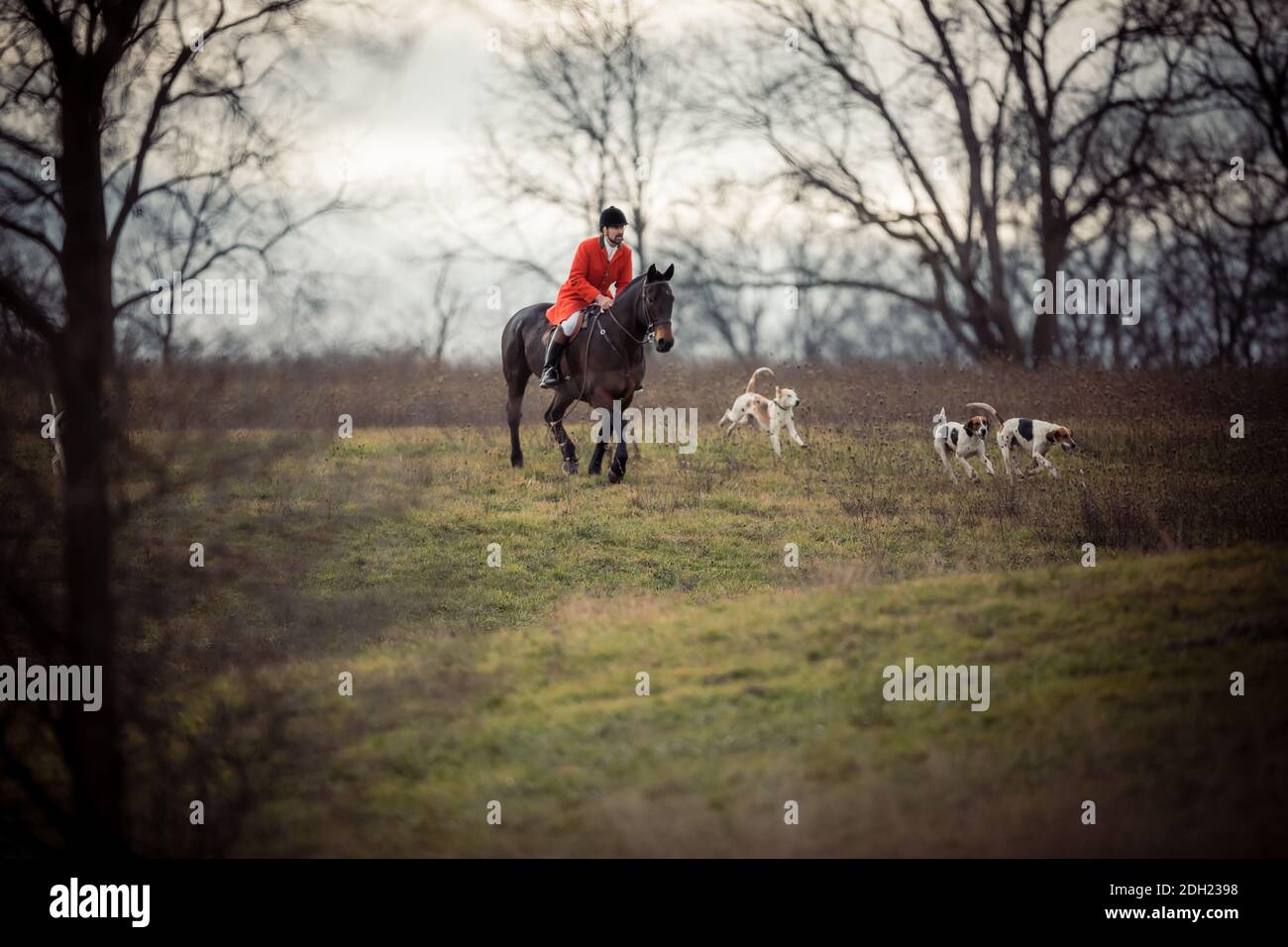 Photos de paysage couleur du Hamilton Hunt Club en Ontario Canada ...