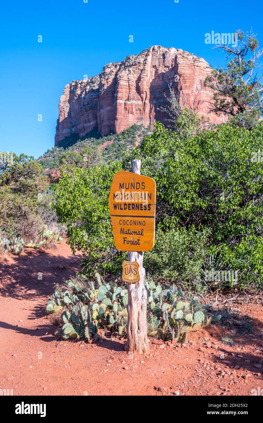 Parc forestier national de coconino Banque de photographies et d’images ...