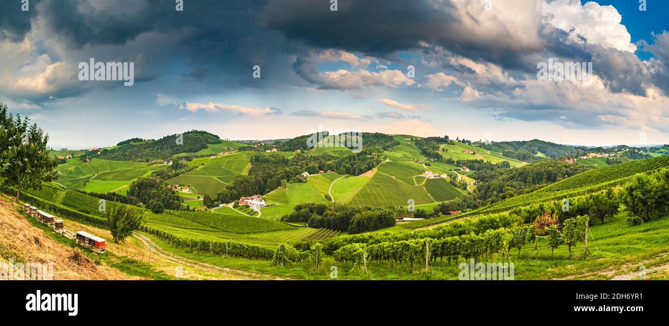 Austrian landscape painter Banque de photographies et d’images à haute ...