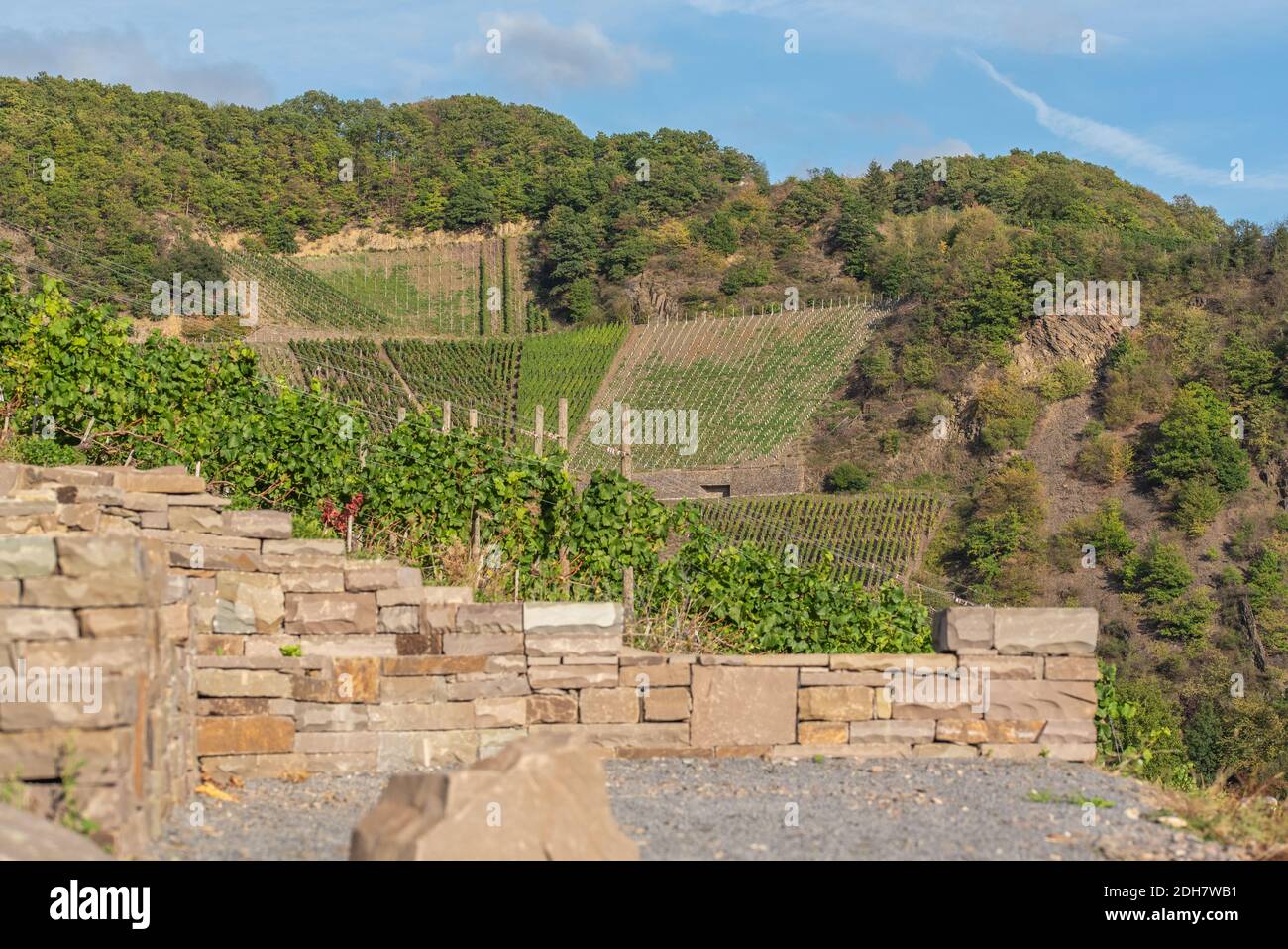 Wine growing region Banque de photographies et d’images à haute ...