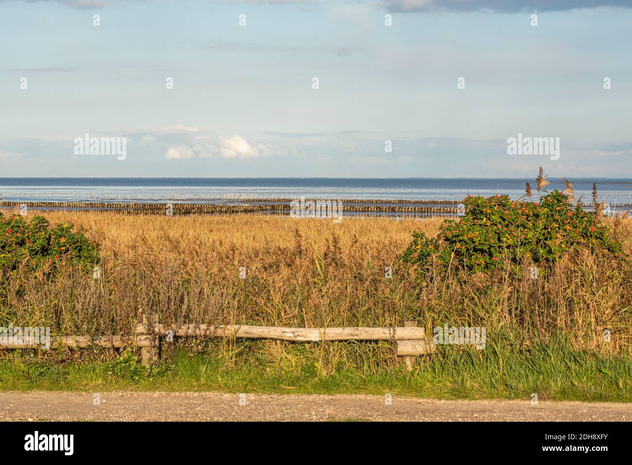 Wadden sea national park Banque de photographies et d’images à haute ...