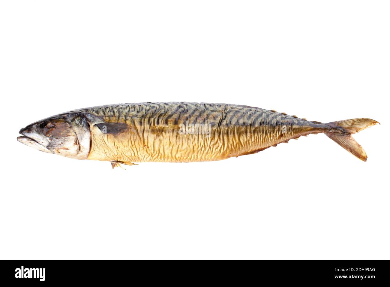 Poisson frais sur fond blanc Banque de photographies et d’images à ...