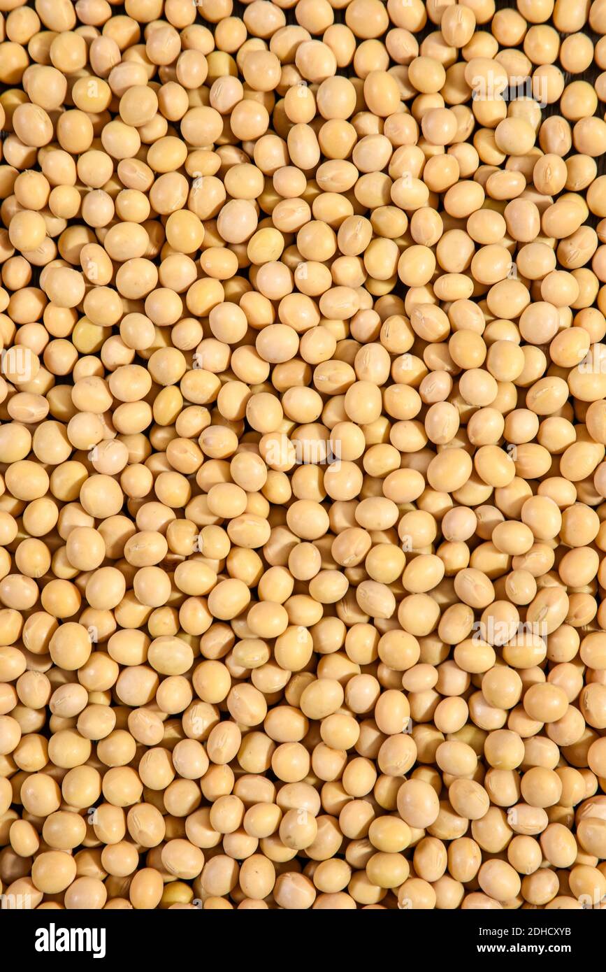 Graines de soja, fond de soja. Texture soja. Vue de dessus. Aliments ...