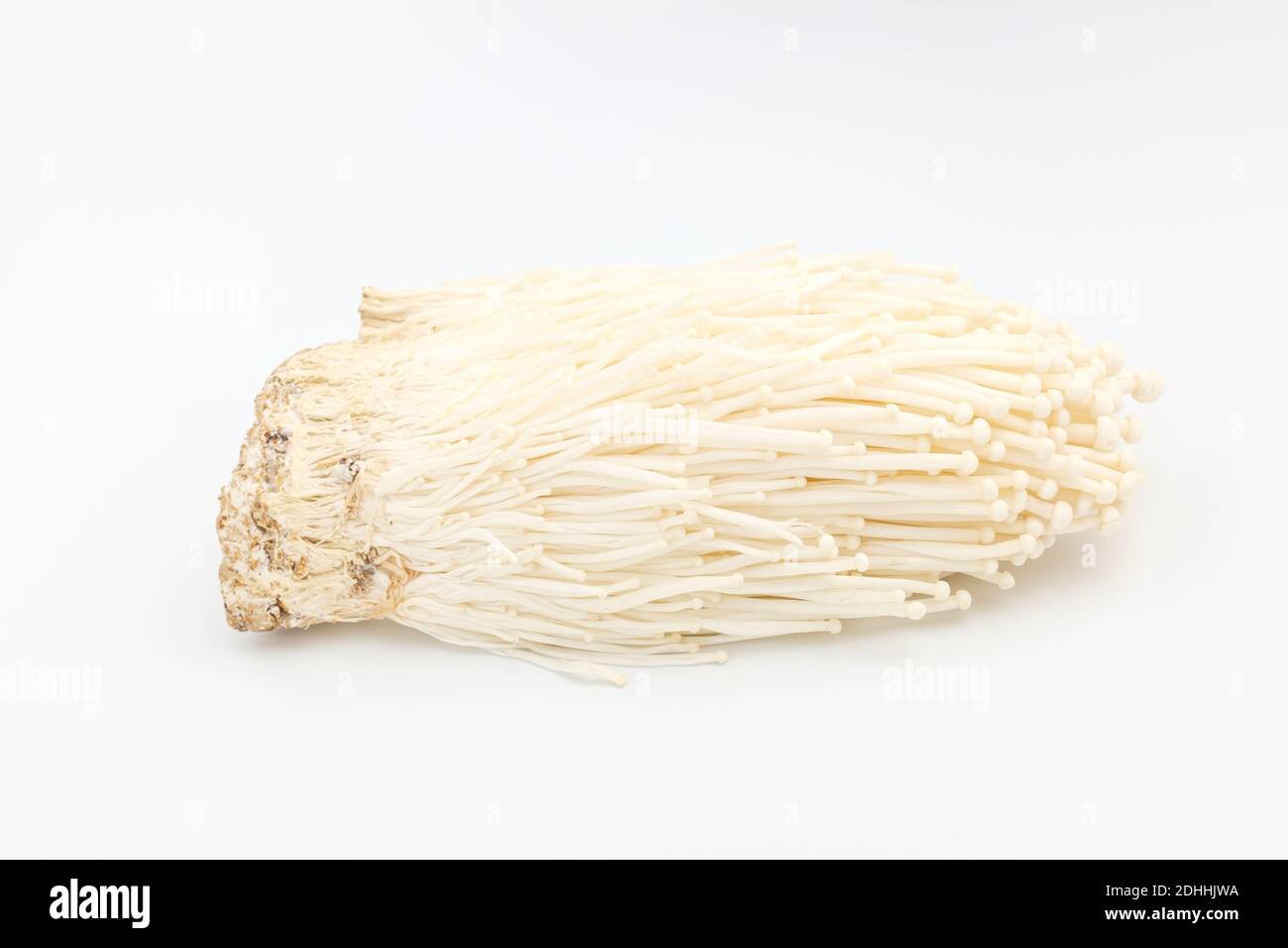 Champignon enoki Banque de photographies et d’images à haute résolution ...