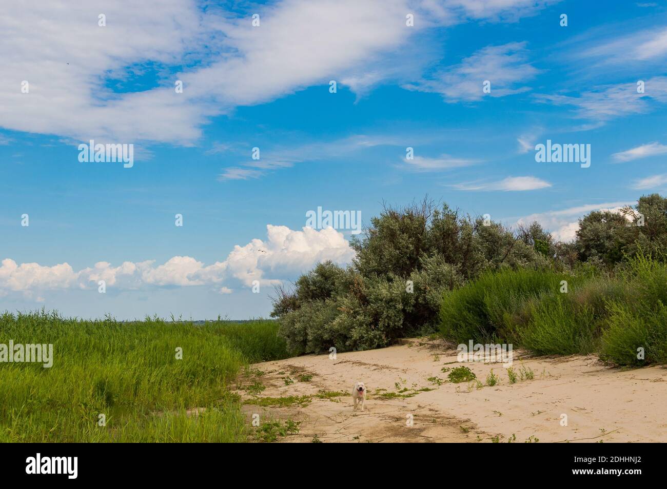 Azov rostov Banque de photographies et d’images à haute résolution - Alamy