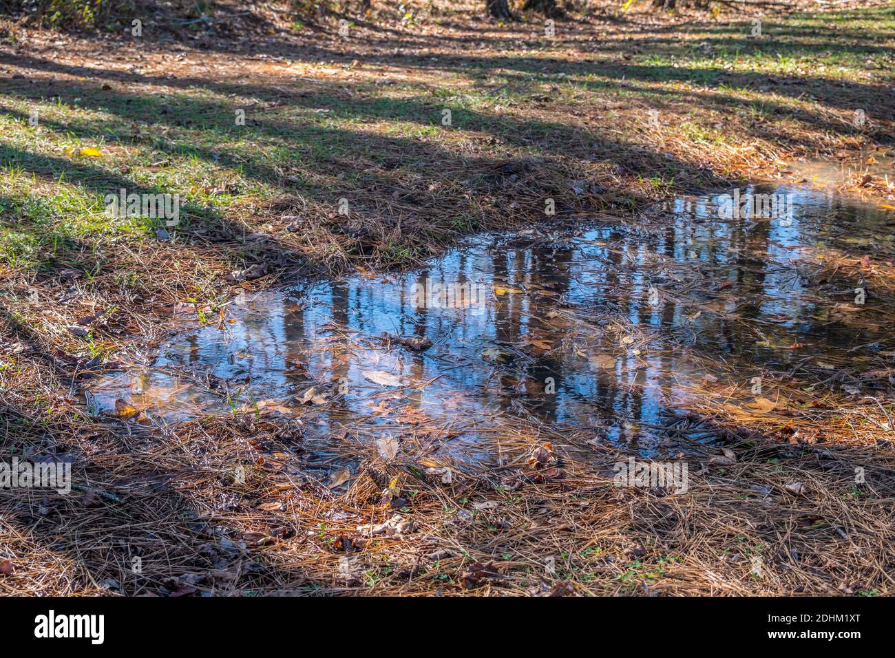 Flaque d'eau peu profonde Banque de photographies et d’images à haute ...