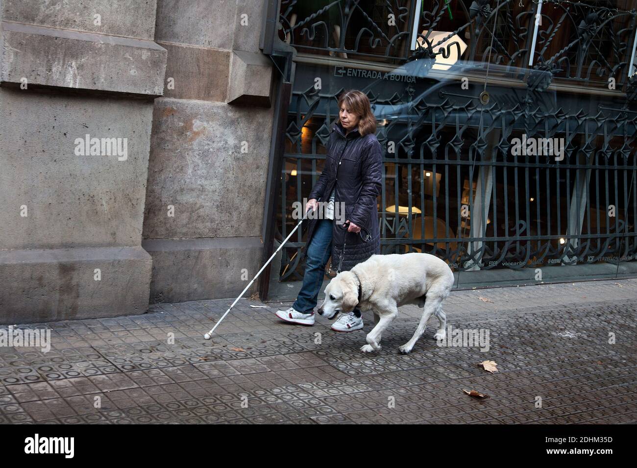 Femme aveugle Banque de photographies et d’images à haute résolution ...