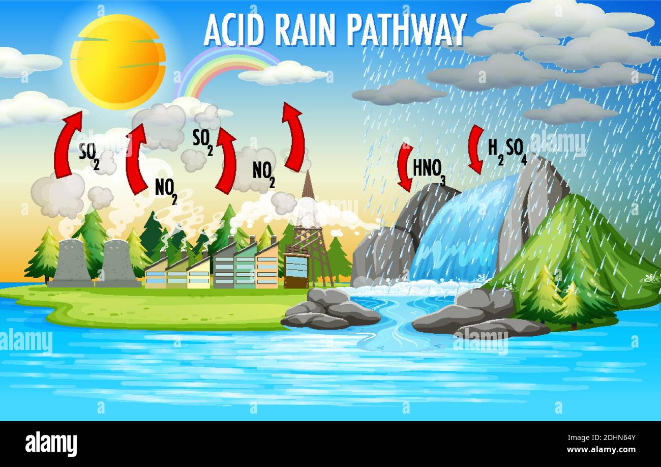 Schéma montrant les pluies acides pathway illustration Image ...