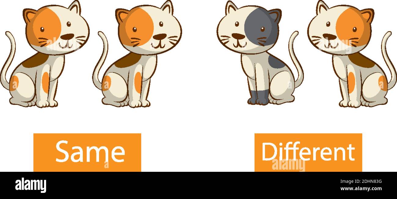 Mots adjectifs opposés avec illustration identique et différente Image ...