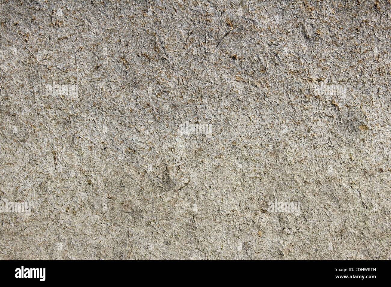 Poussière de bois et texture de liège de différentes couleurs et fibres ...