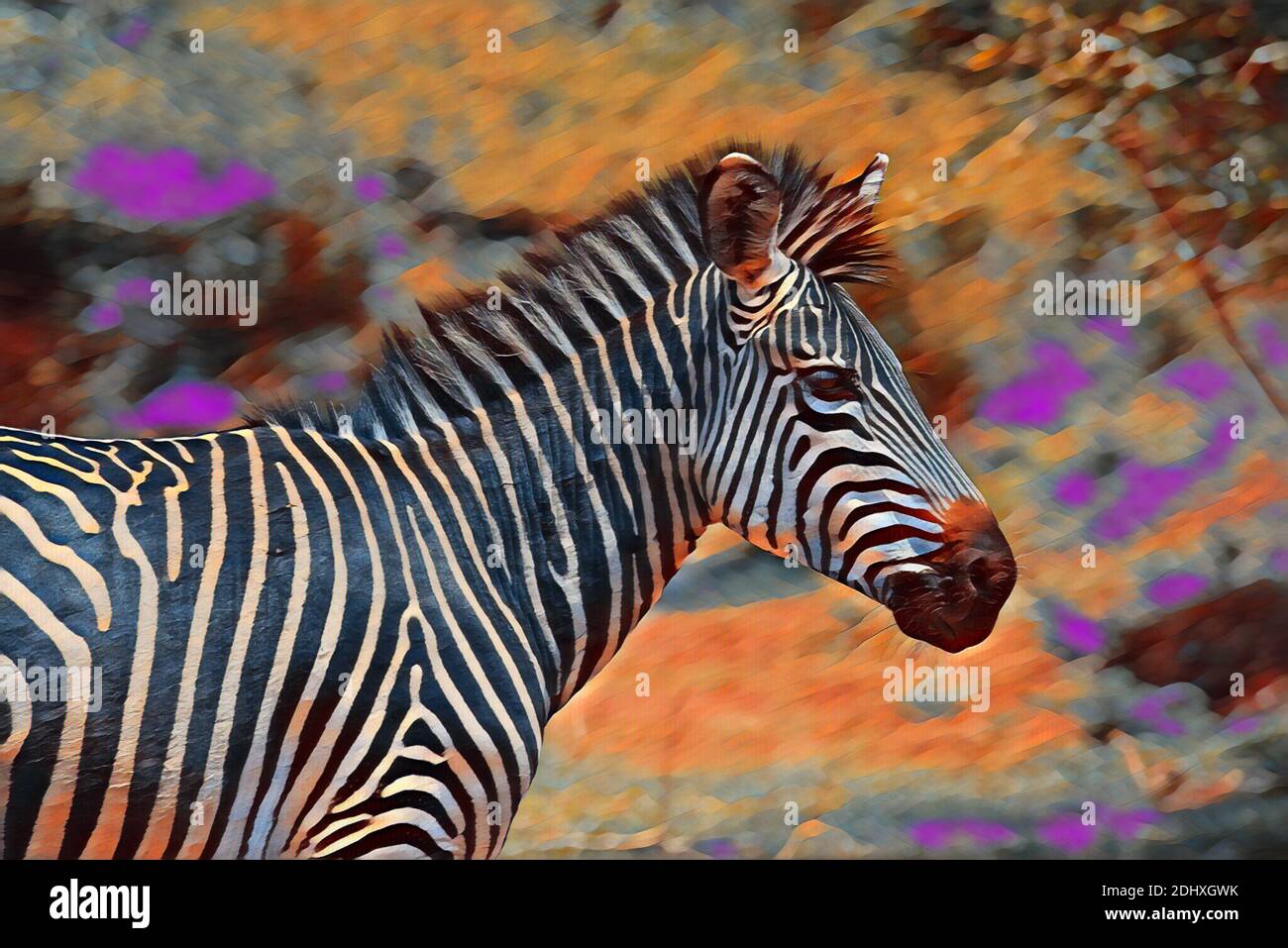 Motif zebre fluo Banque de photographies et d’images à haute résolution ...