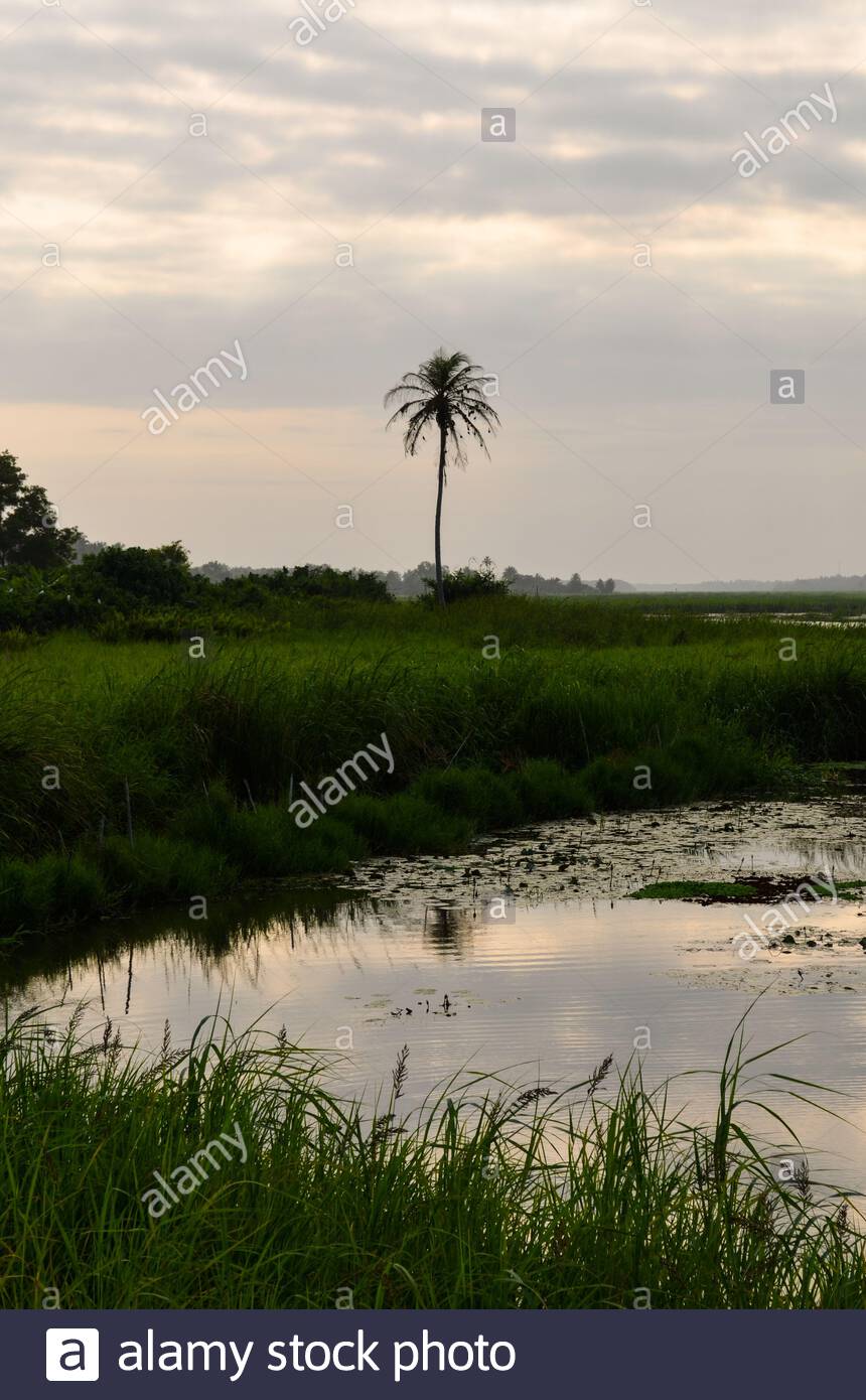 Ebrie Lagoon Banque d'image et photos - Alamy