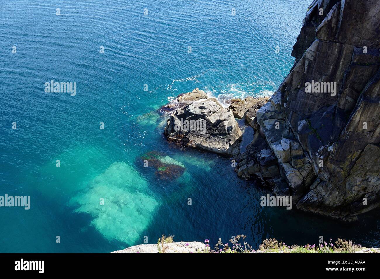 Profondeurs marine Banque de photographies et d’images à haute ...