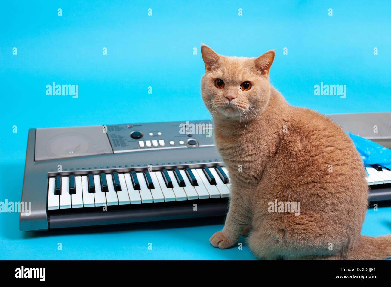 Train moelleux Banque de photographies et d’images à haute résolution ...