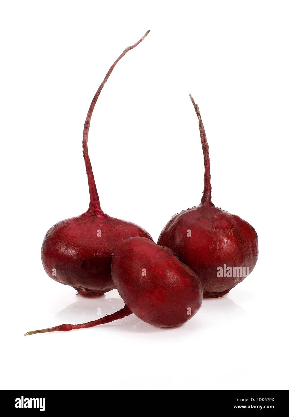Beta vulgaris rubra sur fond blanc Banque de photographies et d’images ...