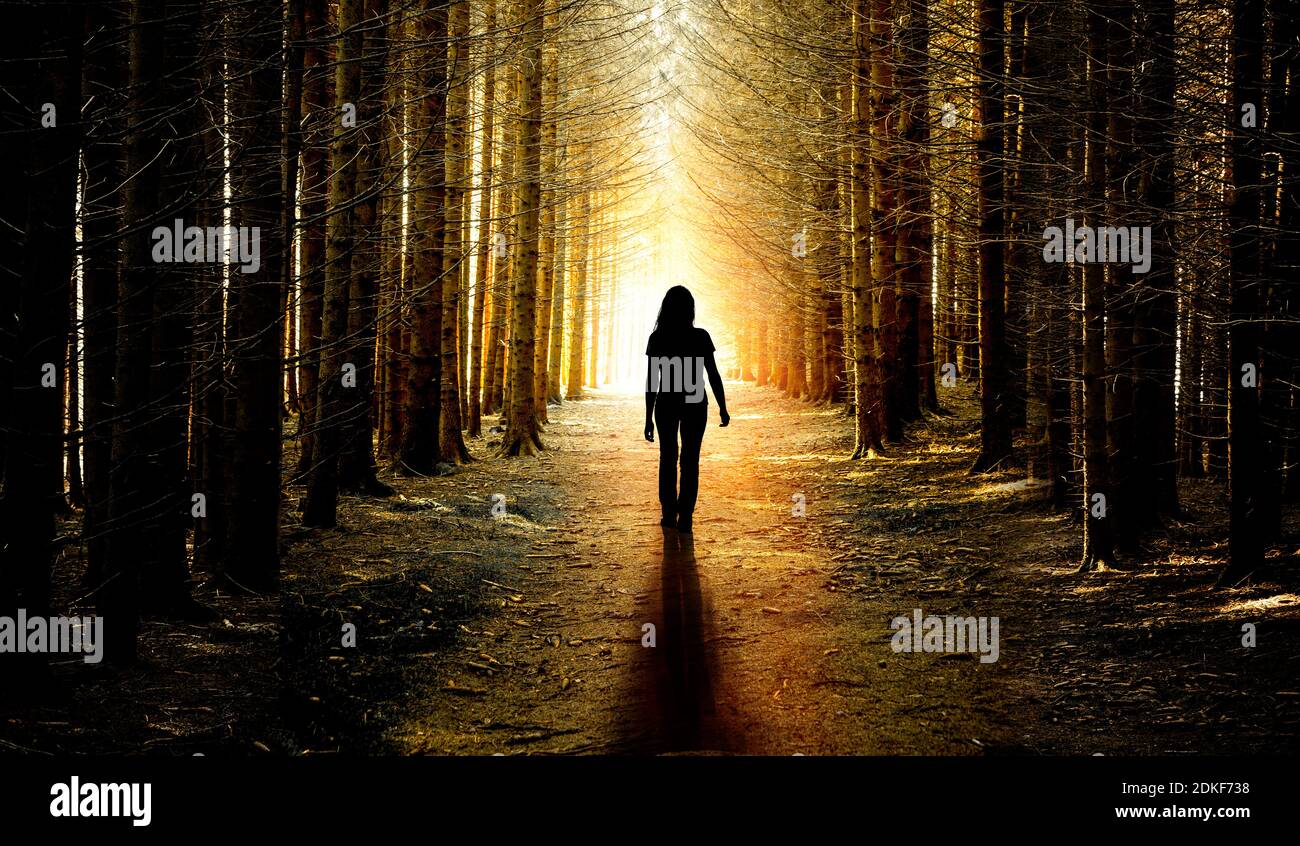 Une voie sombre Banque de photographies et d’images à haute résolution ...