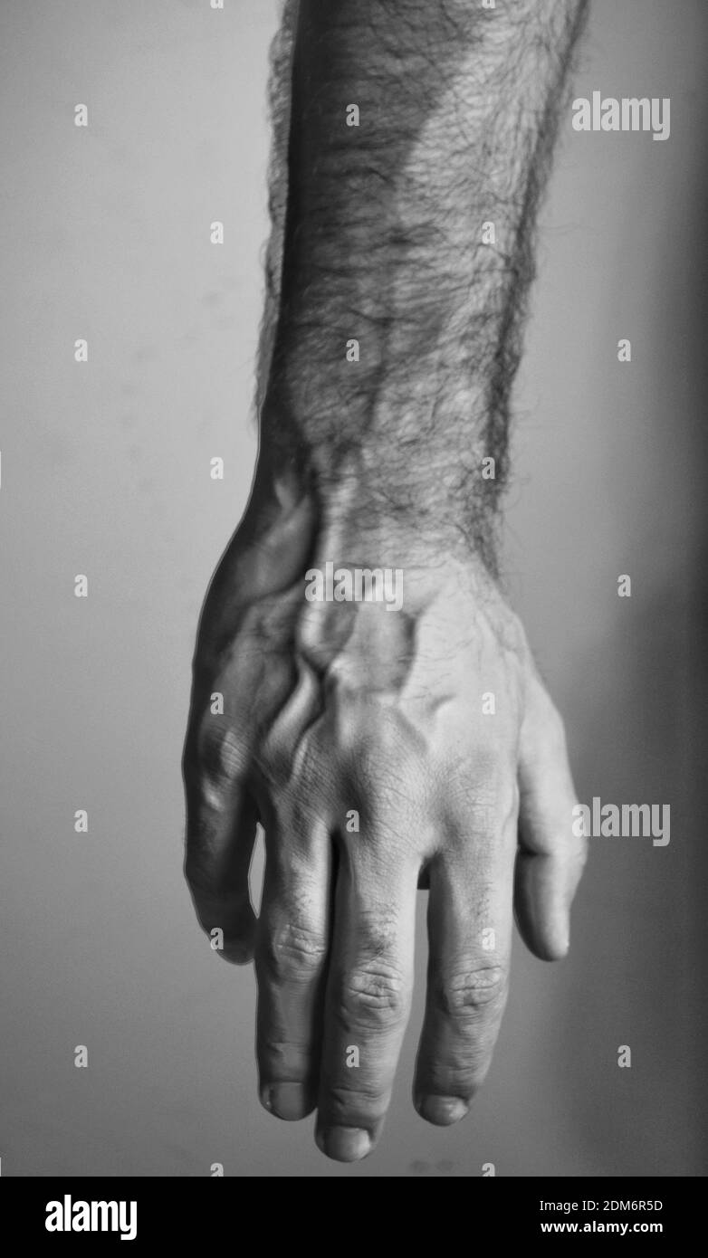 Veines des mains homme Banque de photographies et d’images à haute ...