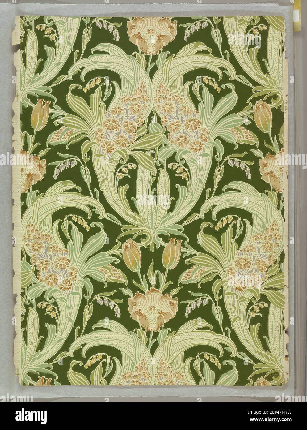 Fine bande verte Banque de photographies et d’images à haute résolution ...