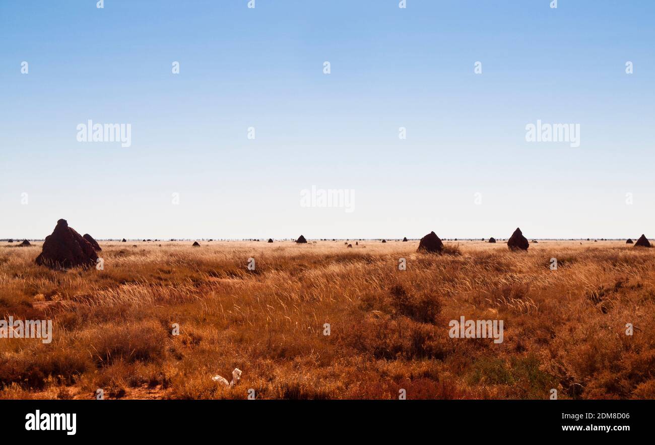 Tanami desert Banque de photographies et d’images à haute résolution ...
