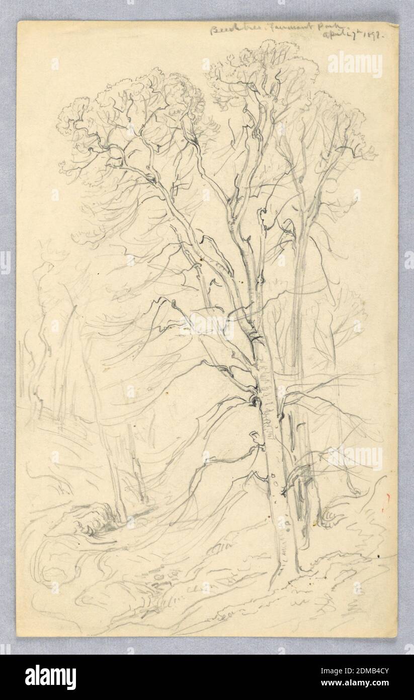 Arbres en papier sur un bois Banque de photographies et d’images à ...