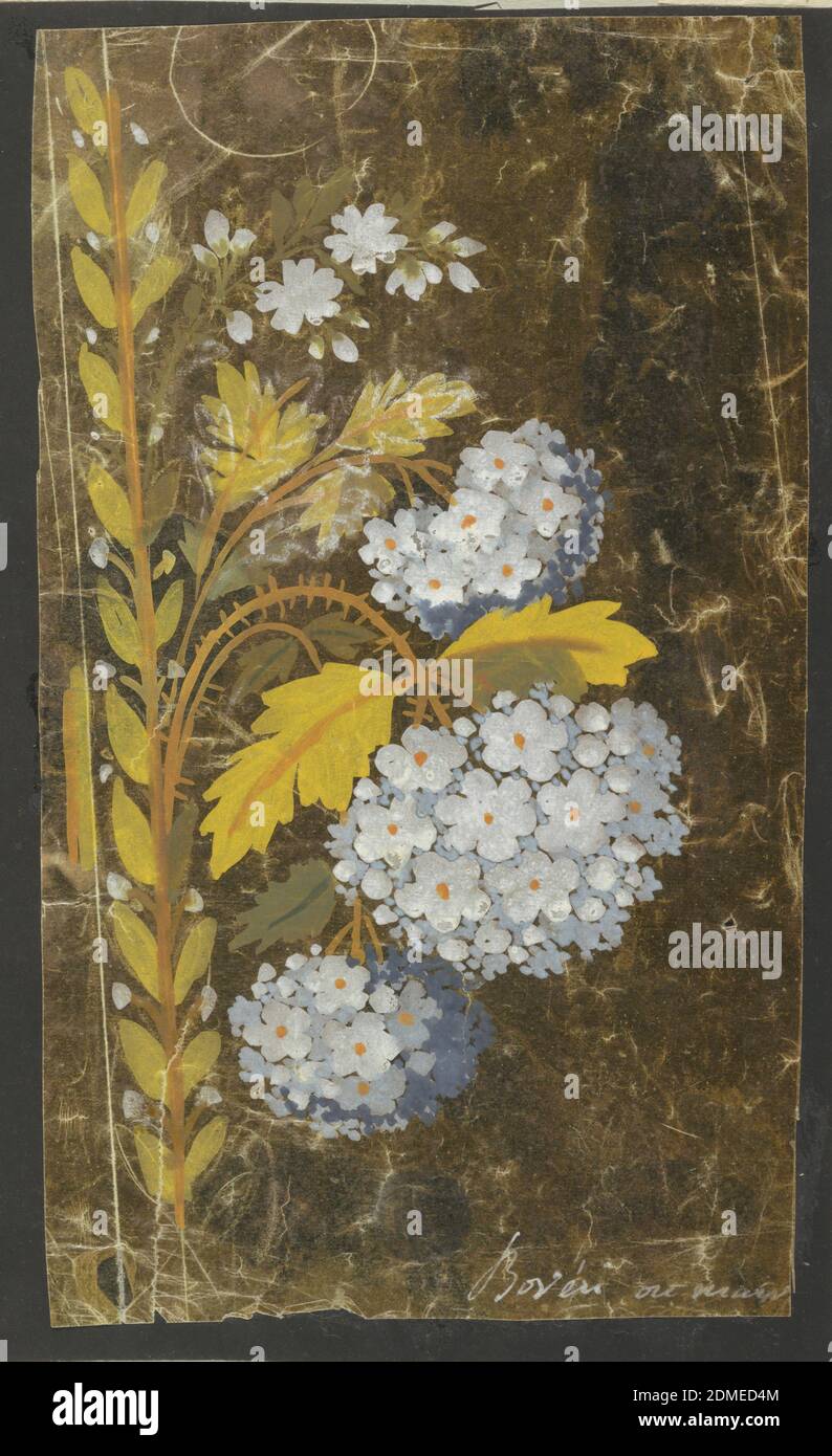 Three incised lines Banque de photographies et d’images à haute ...