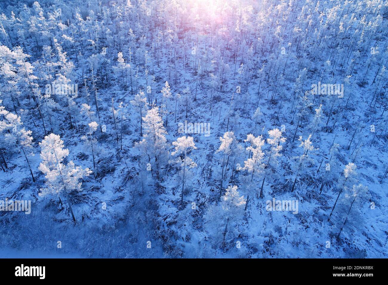 Yang lin Banque de photographies et d’images à haute résolution - Alamy