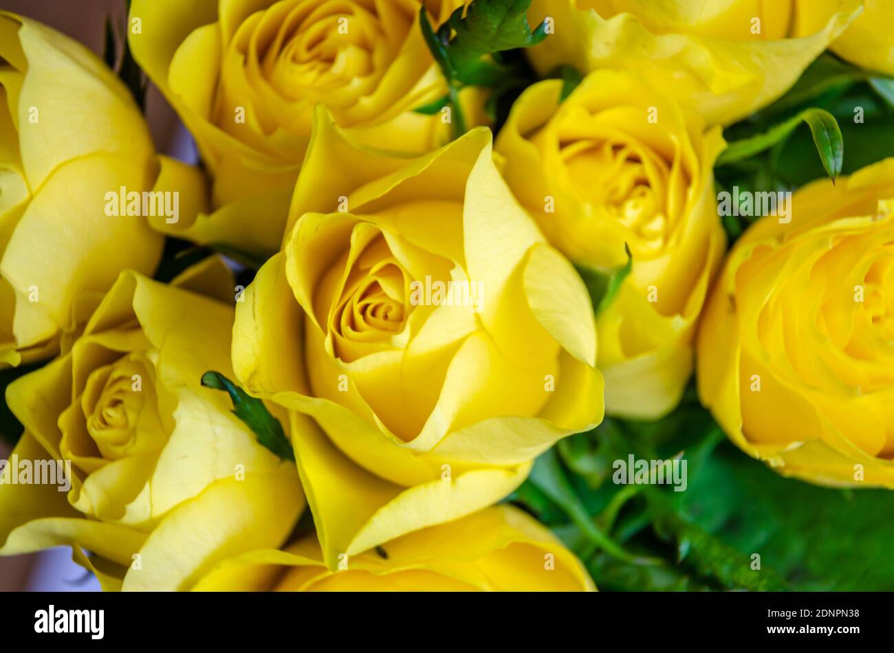 Un Bouquet De Roses Jaunes Banque d'image et photos - Alamy