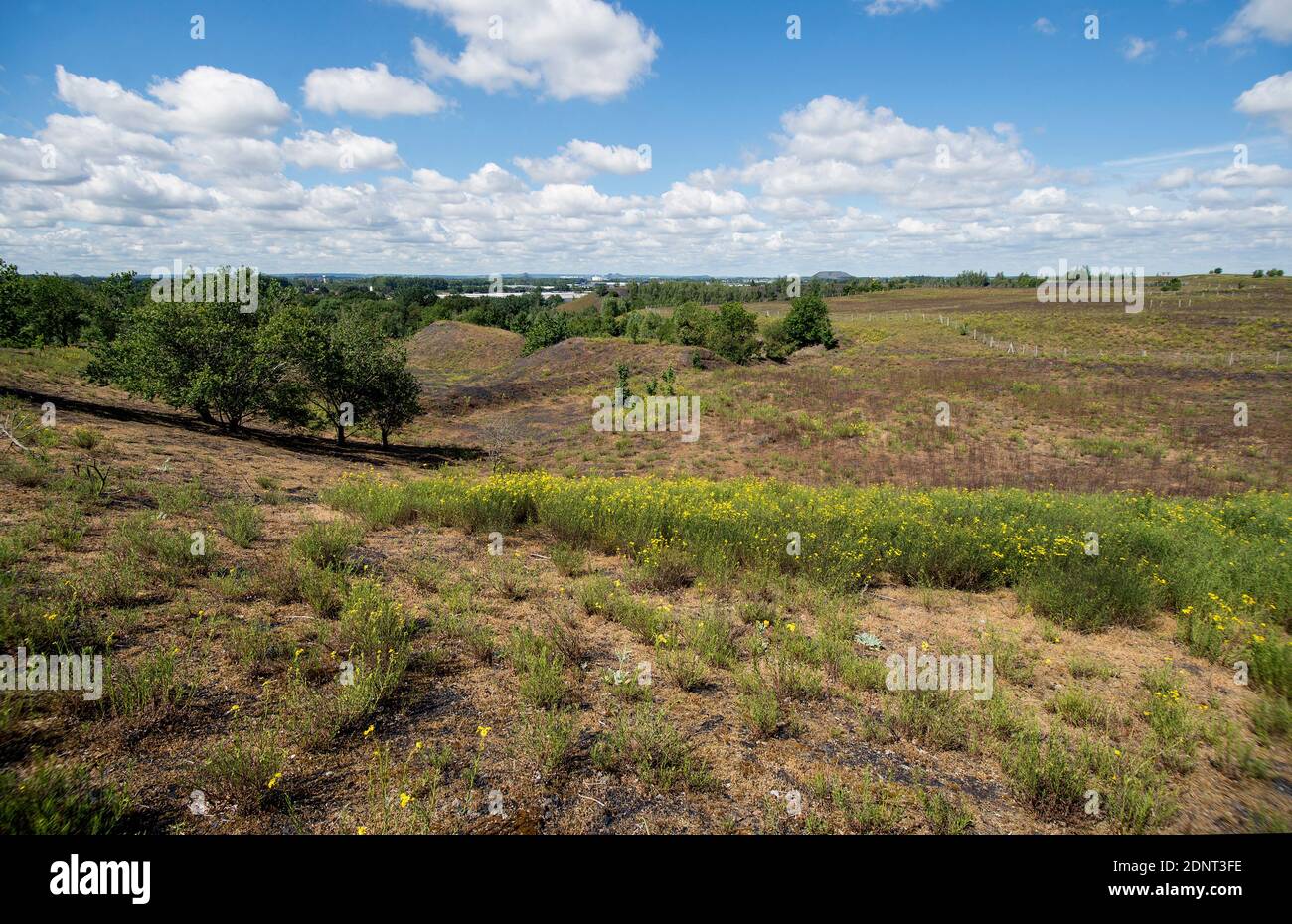 Nord pas de calais terrils Banque de photographies et d’images à haute ...