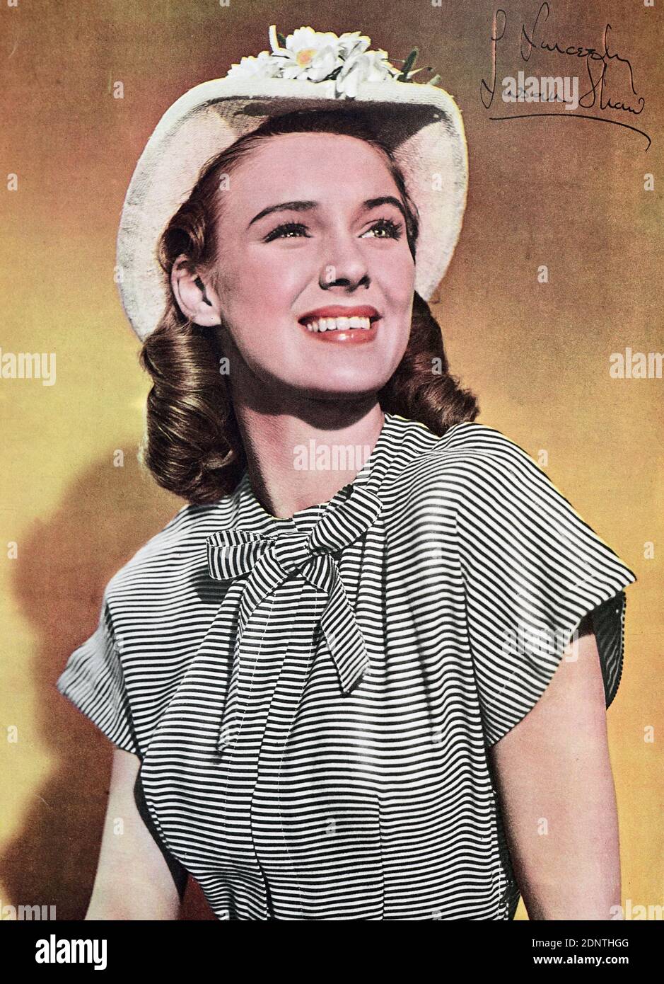 Susan shaw Banque de photographies et d’images à haute résolution - Alamy