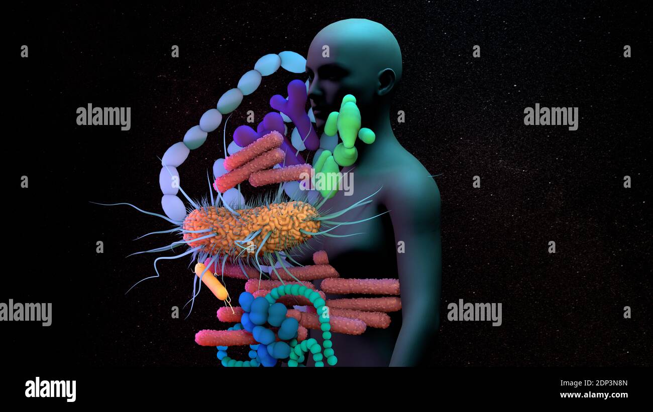 Microbiote humain, illustration conceptuelle. Le microbiote est la ...