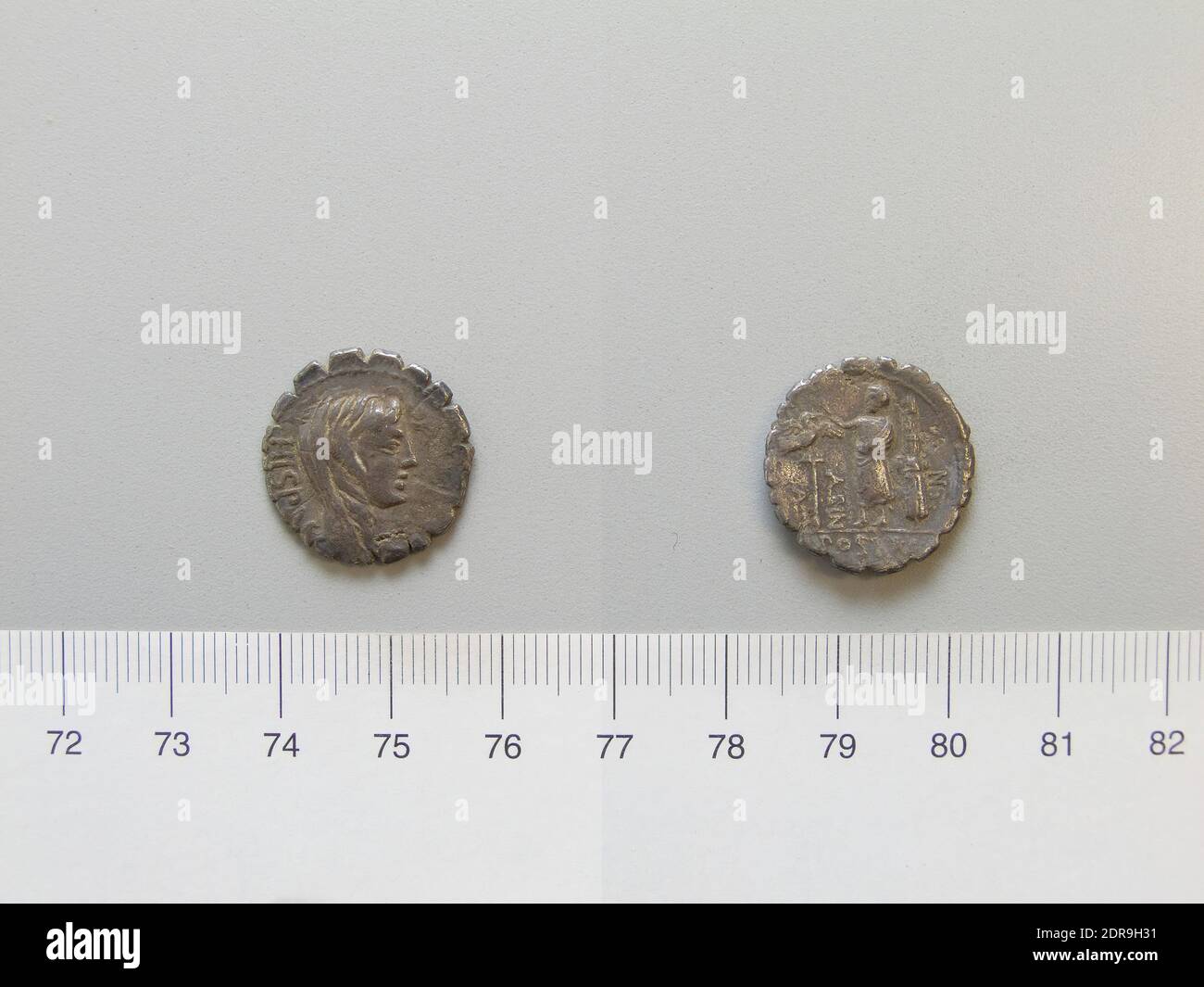 48 nb albinus Banque de photographies et d’images à haute résolution ...