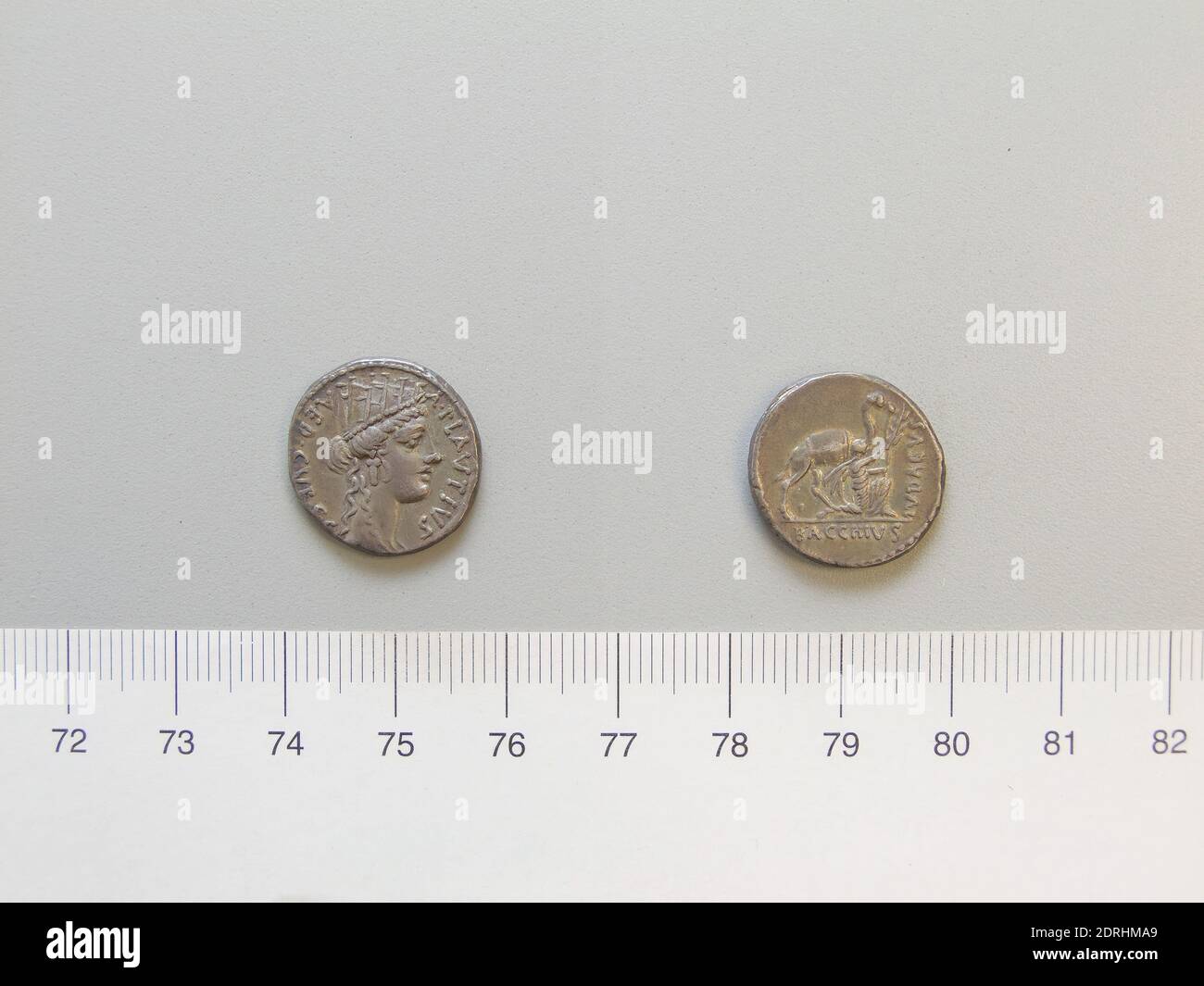 Un plautius Banque de photographies et d’images à haute résolution - Alamy