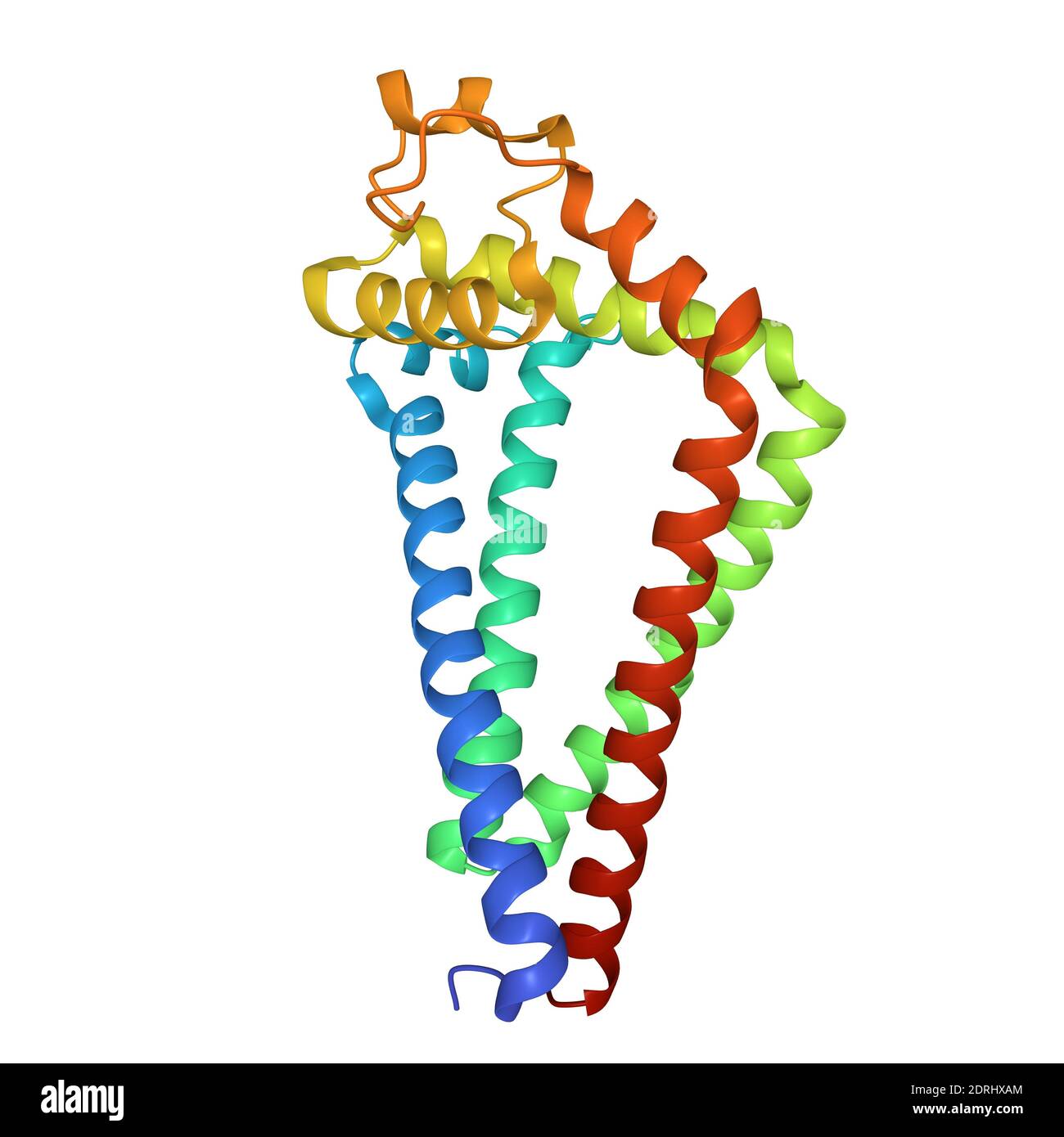Complexe Protéique Transmembranaire Rhésus