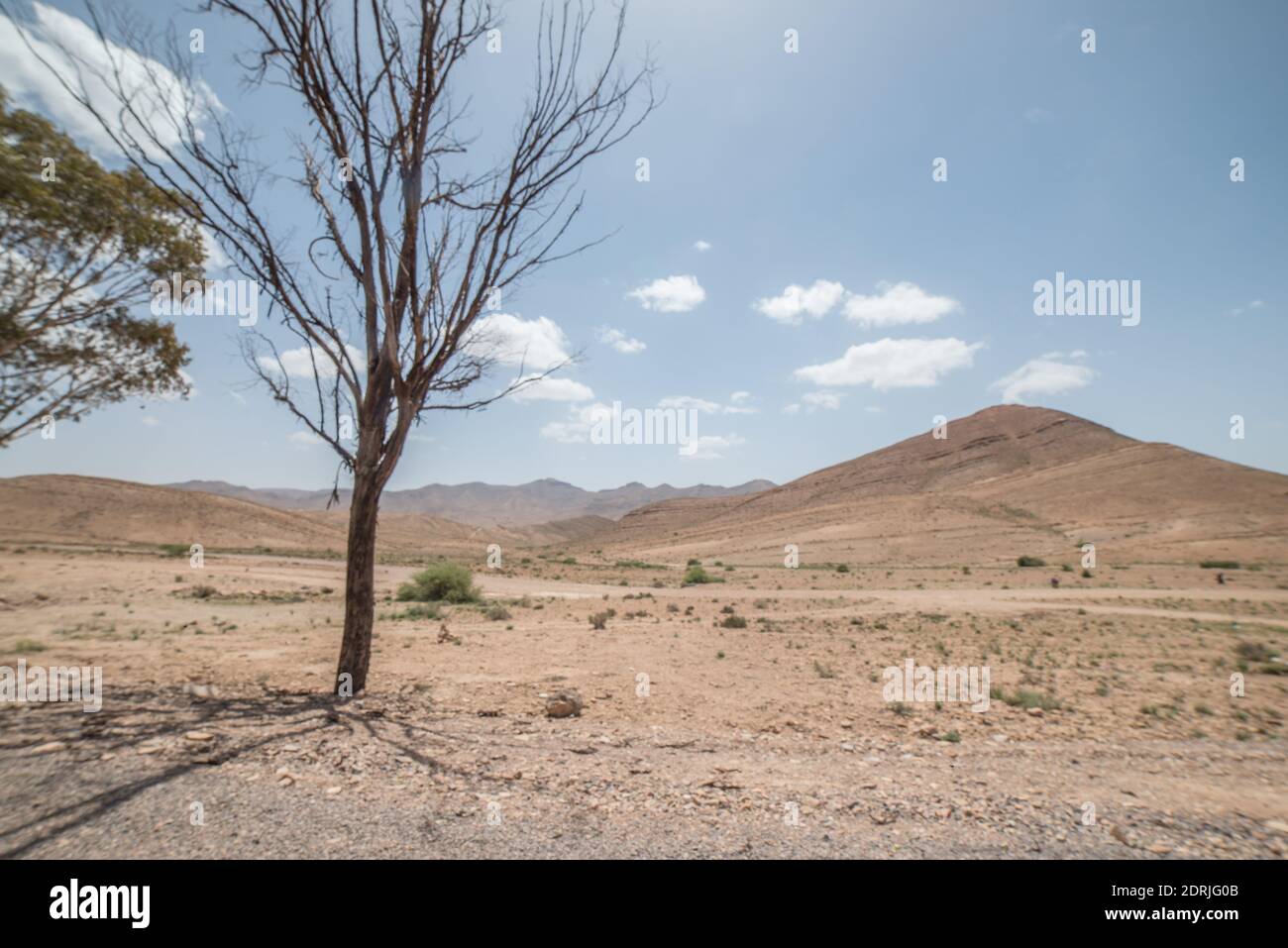 Terrain semi aride maroc Banque de photographies et d’images à haute ...