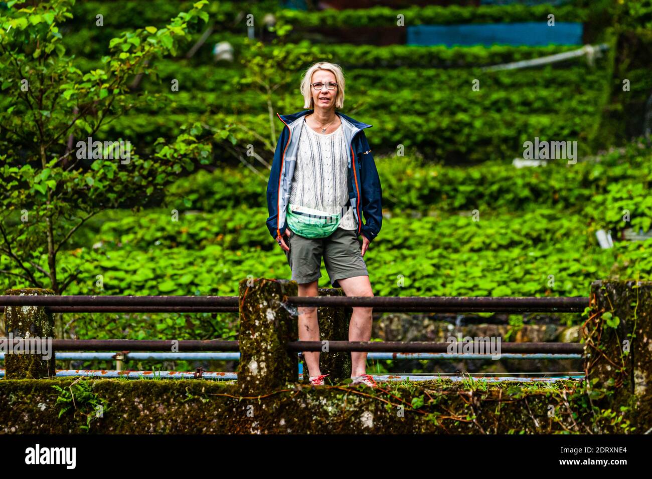 La journaliste alimentaire Angela Berg devant les champs de wasabi sur ...