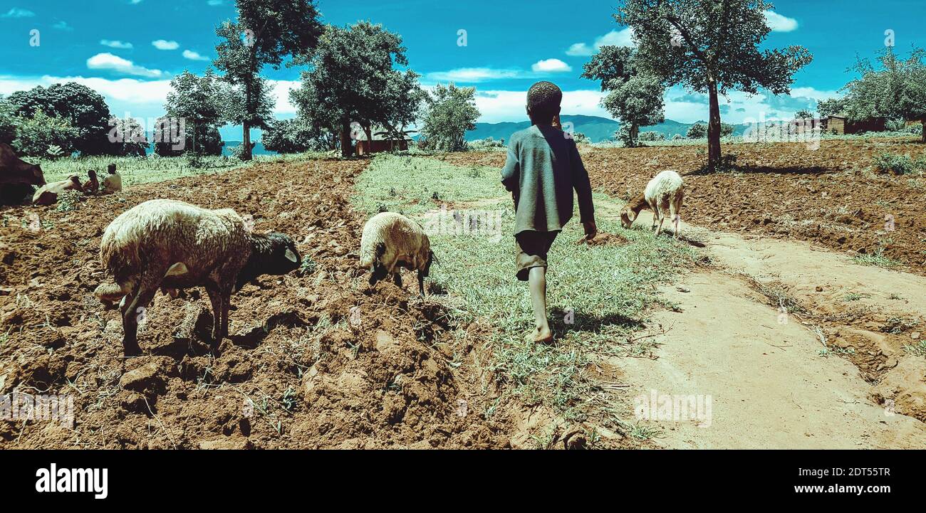 Agriculteur Africain Enfant Banque De Photographies Et Dimages à Haute