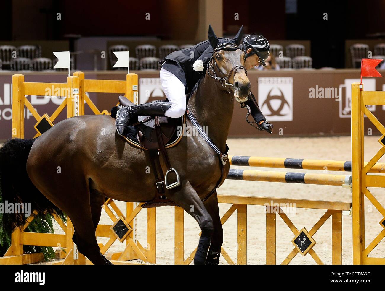 Julien Courbet, animateur de télévision, rivalise avec son cheval ...
