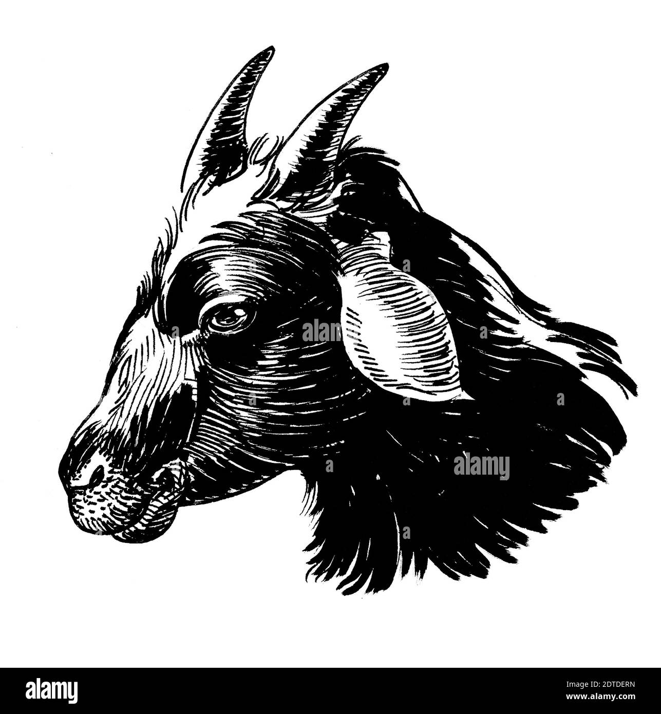 Dessin chevre noir et blanc Banque de photographies et d’images à haute ...
