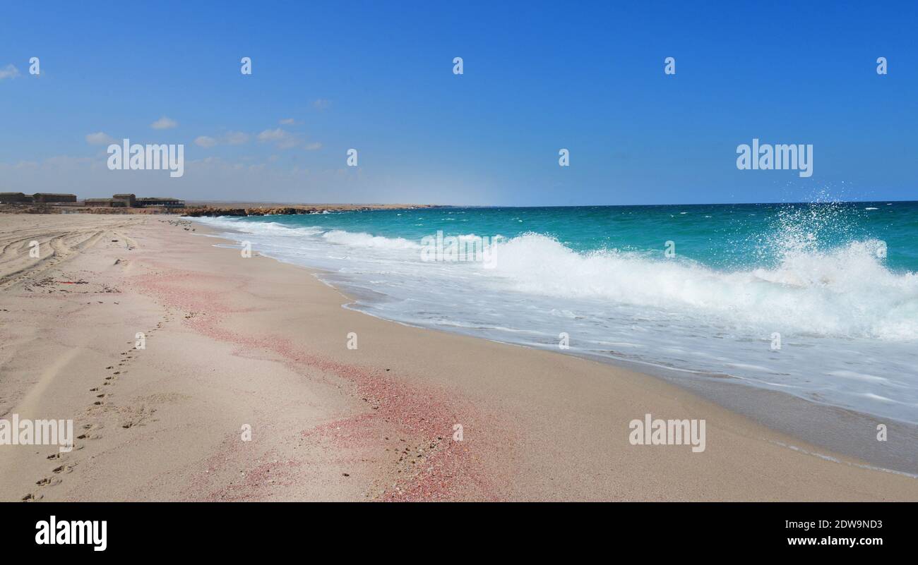 Ras al hadd beach Banque de photographies et d’images à haute ...