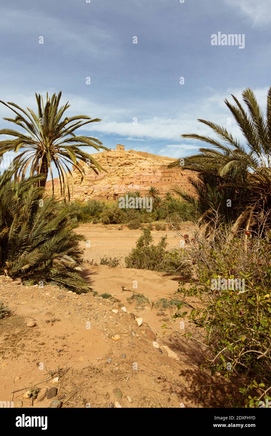 Terrain semi aride maroc Banque de photographies et d’images à haute ...